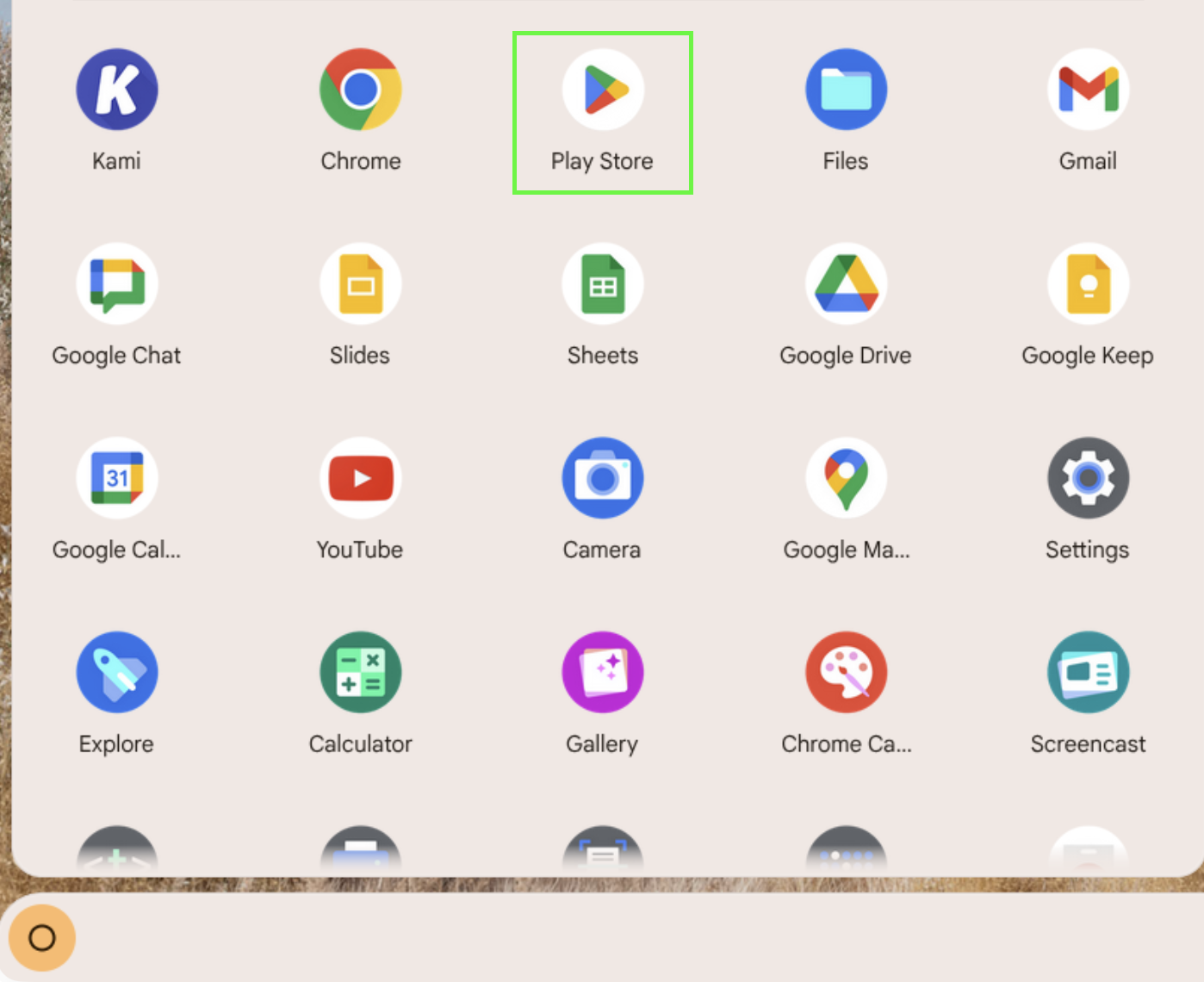 Launching ERB/CTP App on Chromebooks – Brearley Technology Department ...